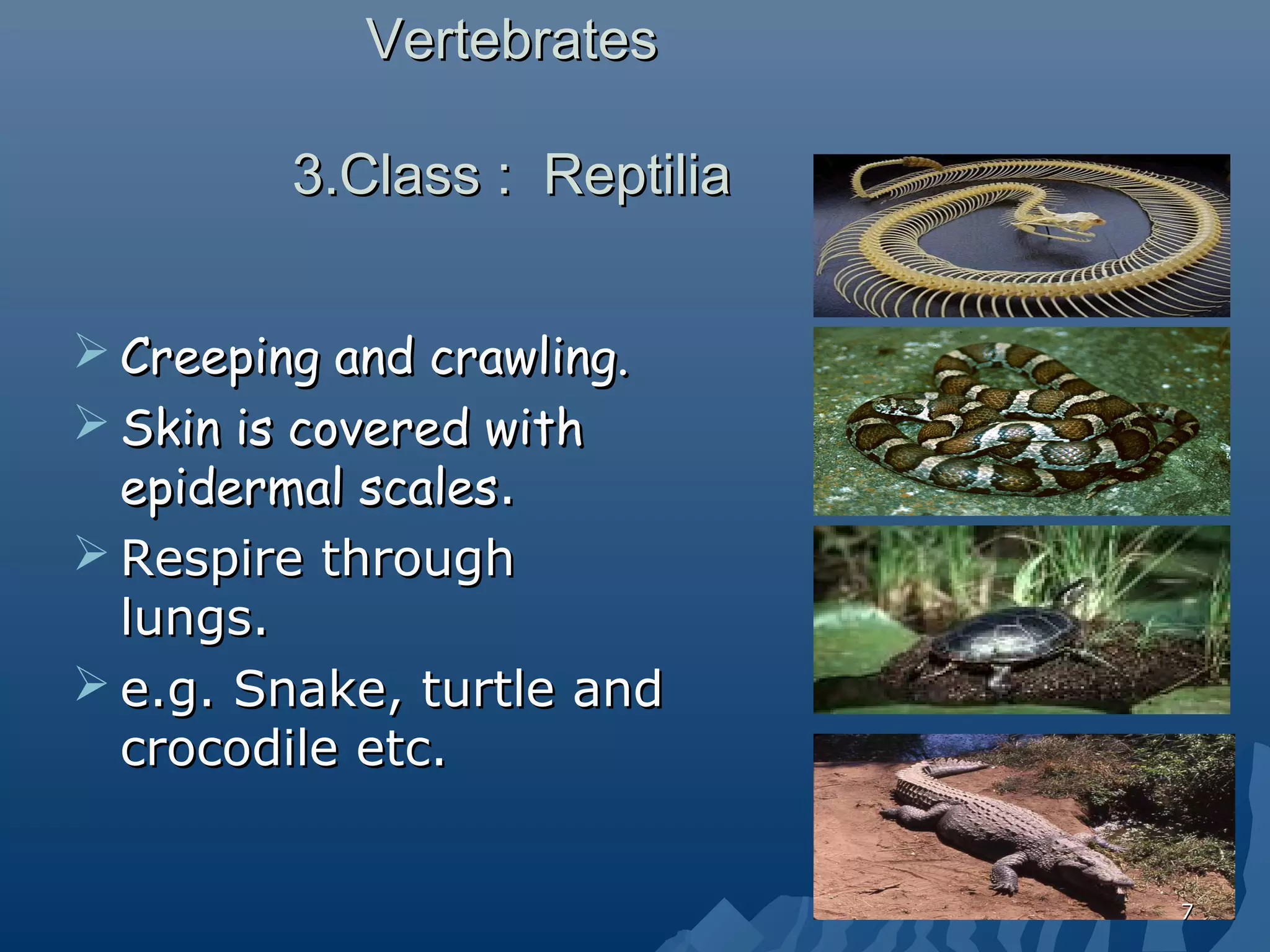 Lesson plan for biology by farhan ali | PPT