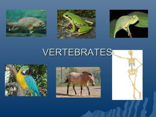 Lesson plan for biology by farhan ali | PPT