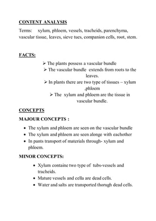 Lessonplan | DOCX | Gardening | Home & Garden