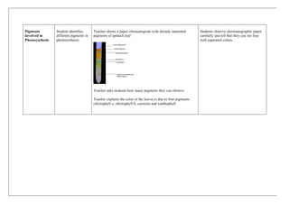 PIGMENTS INVOLVED IN PHOTOSYNTHESIS | PDF
