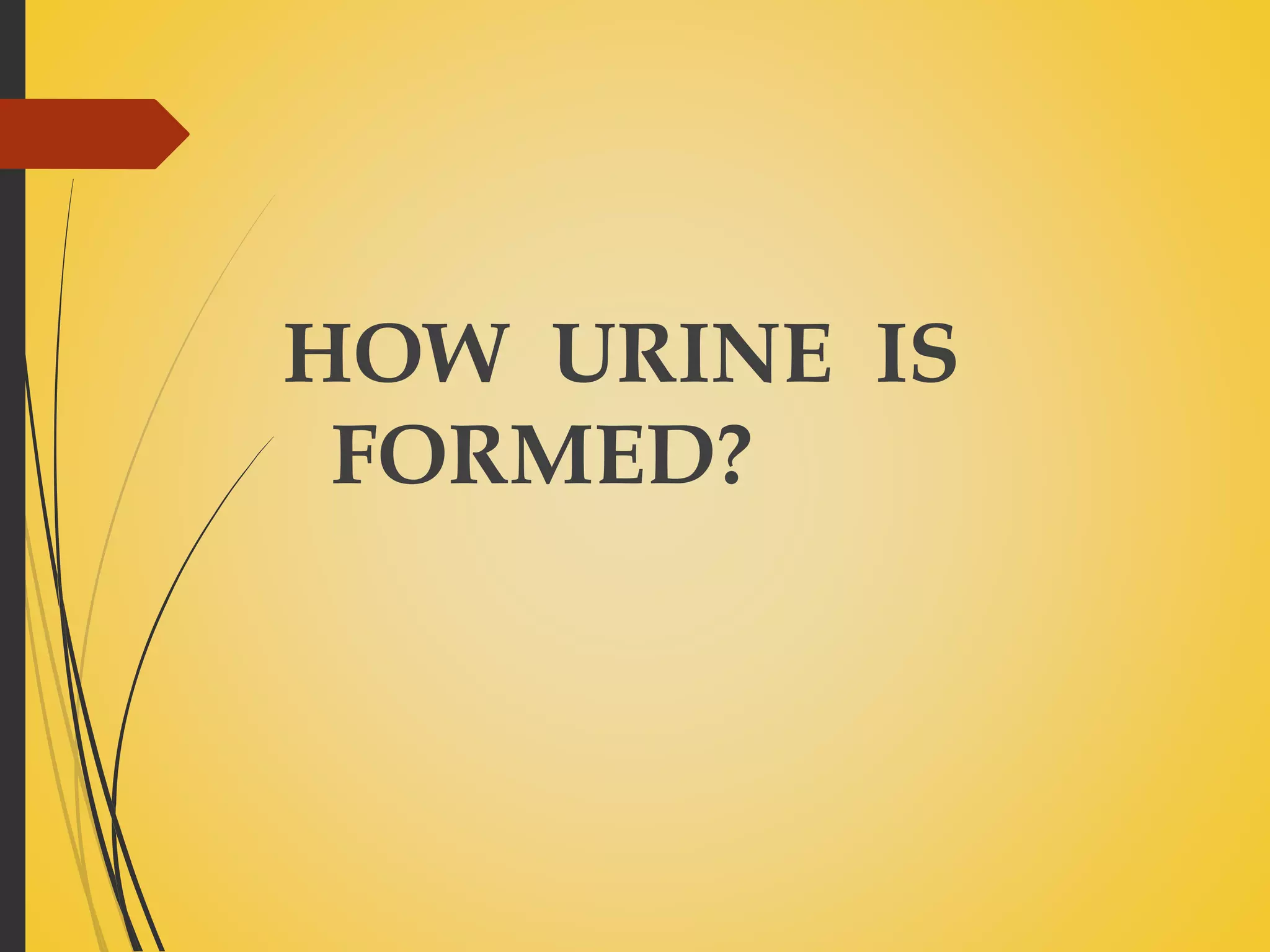 Powerpoint presentation on Urine formation | PPTX
