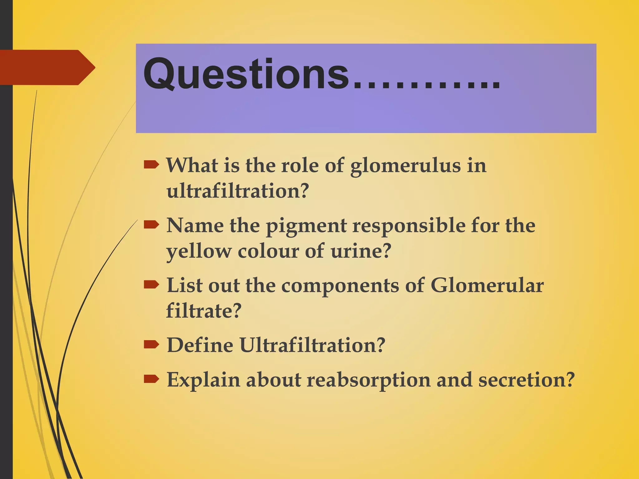 Powerpoint presentation on Urine formation | PPTX