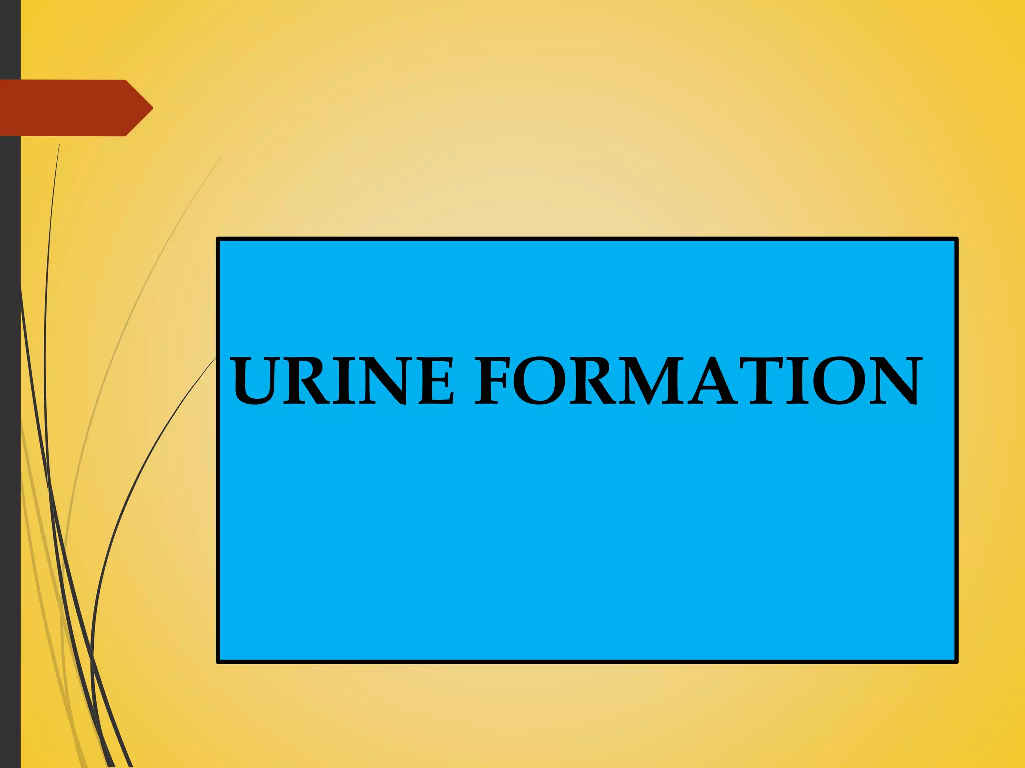 Powerpoint presentation on Urine formation | PPTX