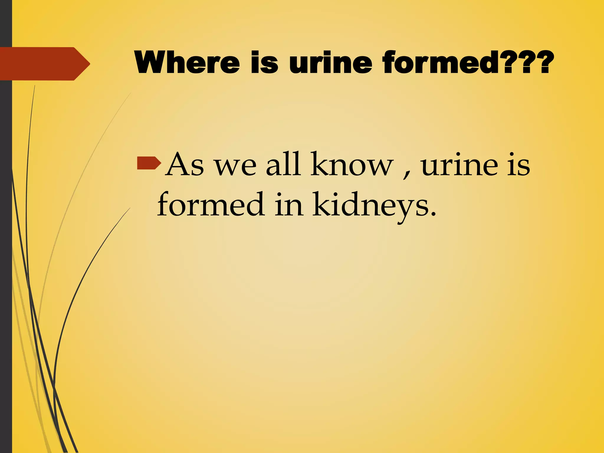 Powerpoint presentation on Urine formation | PPTX