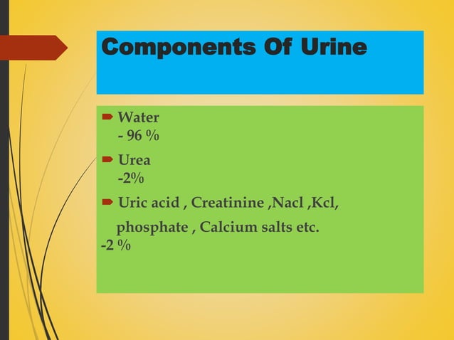 Powerpoint presentation on Urine formation | PPTX | Chemistry | Science