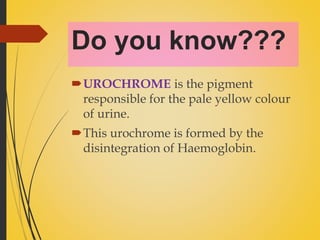 Powerpoint presentation on Urine formation | PPTX | Chemistry | Science