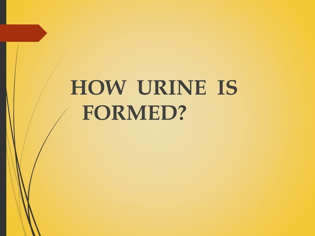 Powerpoint presentation on Urine formation | PPTX | Chemistry | Science