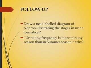 Powerpoint presentation on Urine formation | PPTX