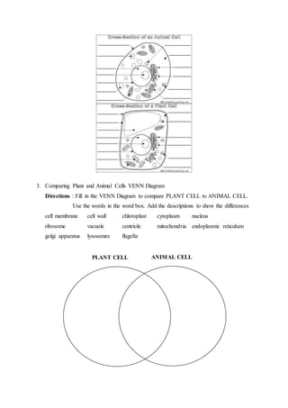 Lesson plan Biology | DOCX