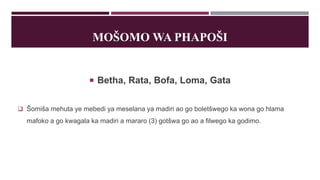 MEHUTA YA MADIRI | PPT