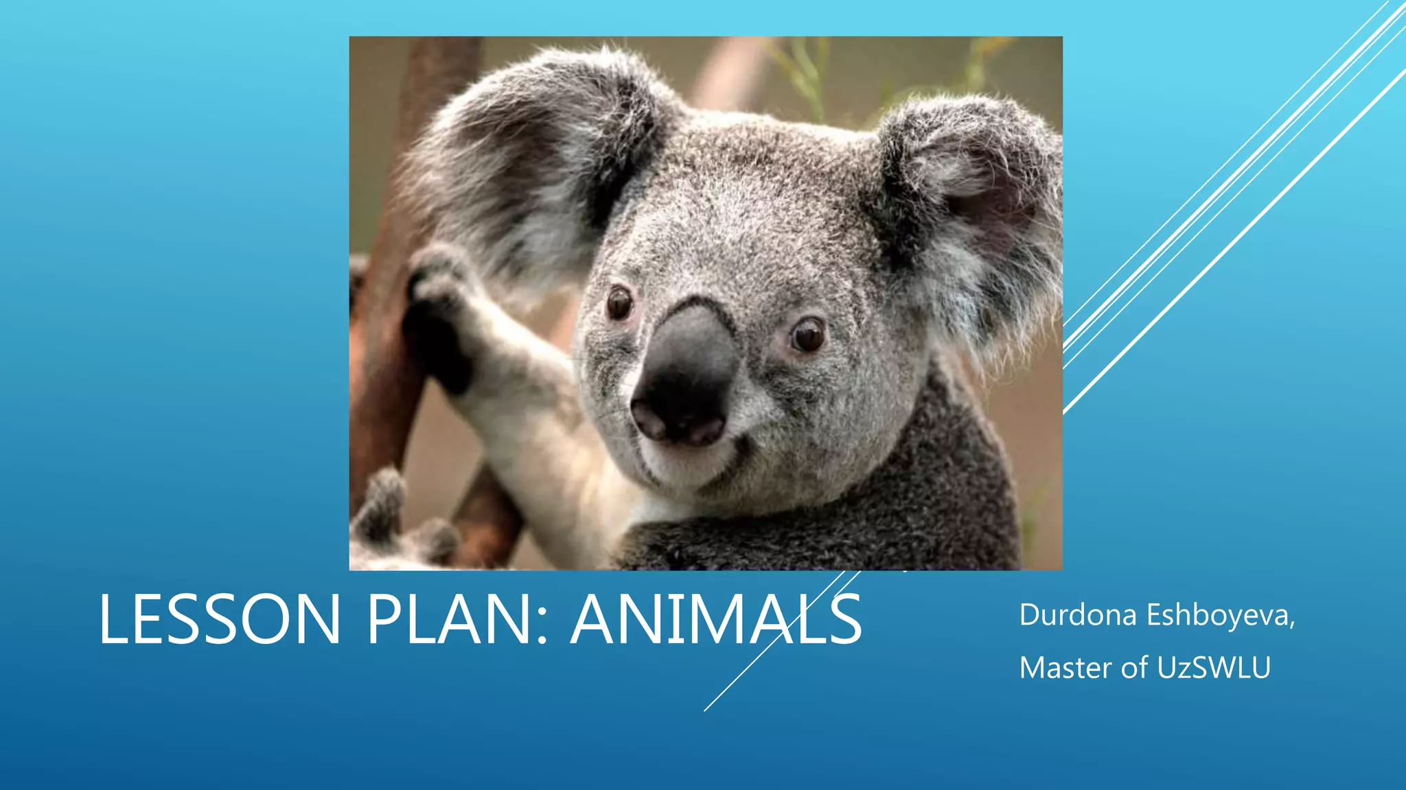 Lesson plan animals | PPTX