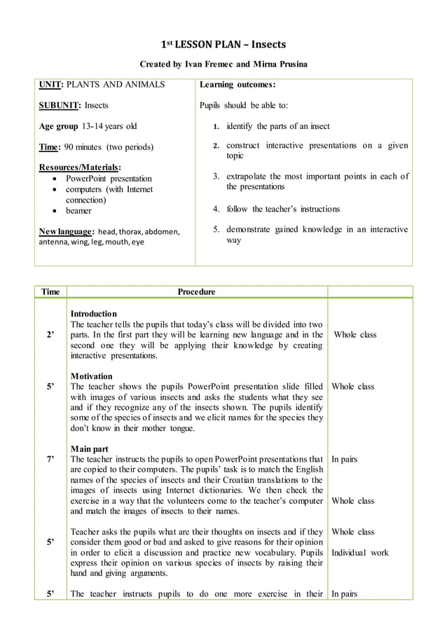 Lesson plan insects | PDF