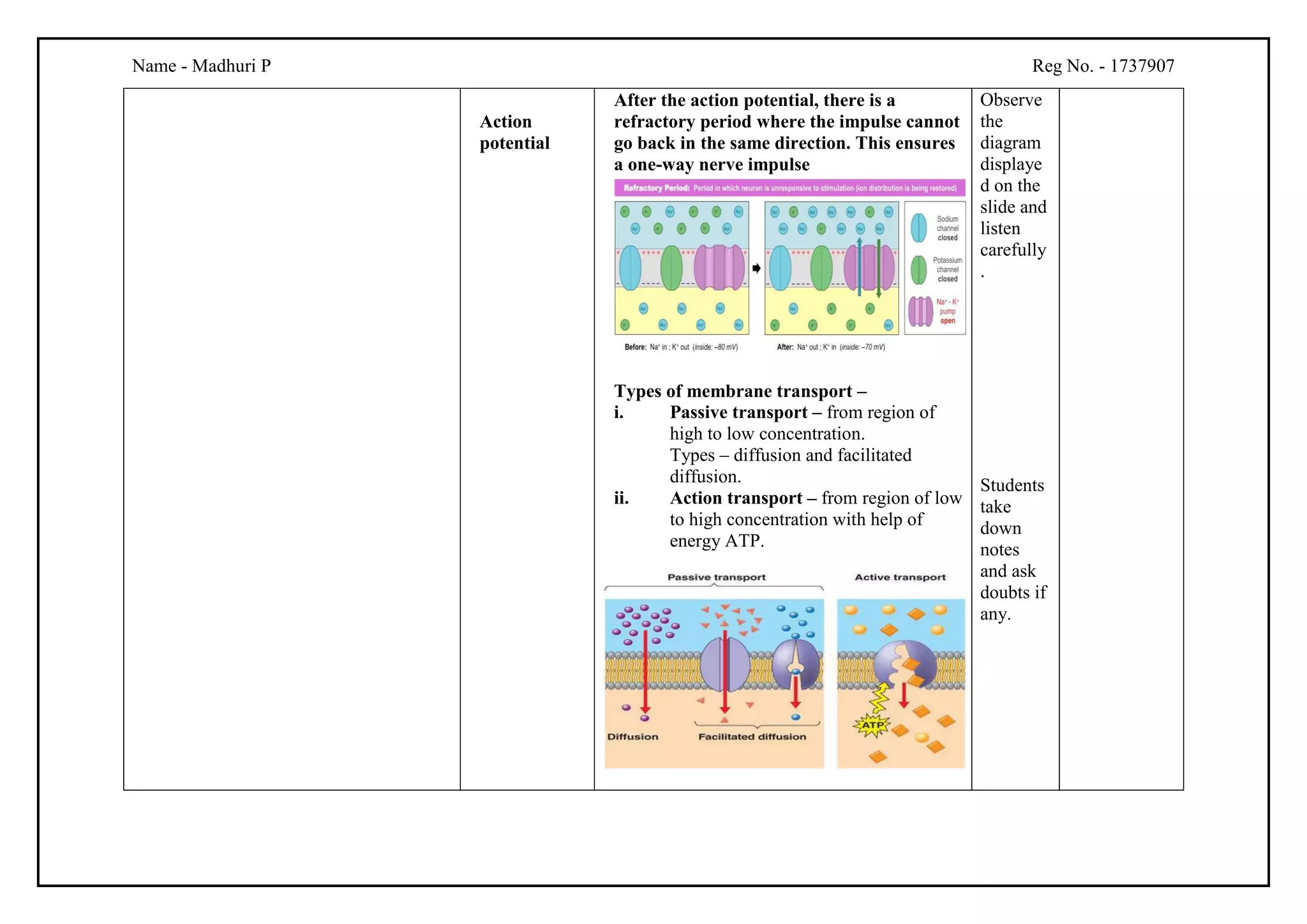 LESSON PLAN - nervous system | PPT