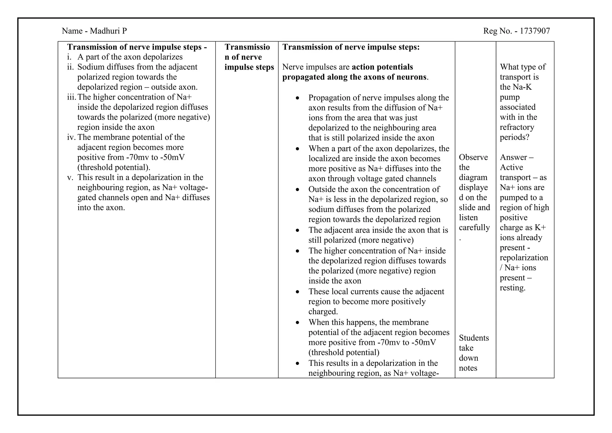 LESSON PLAN - nervous system | PPT
