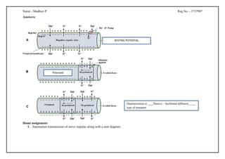 LESSON PLAN - nervous system | PPT