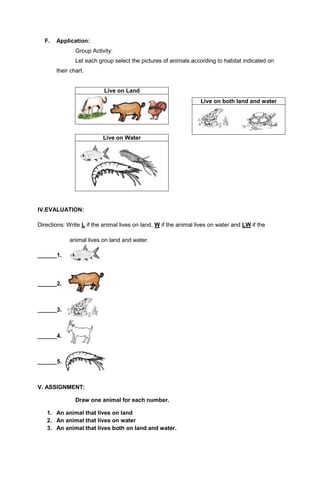 Lesson plan science kinder | DOCX | Zoos & Aquariums | Attractions