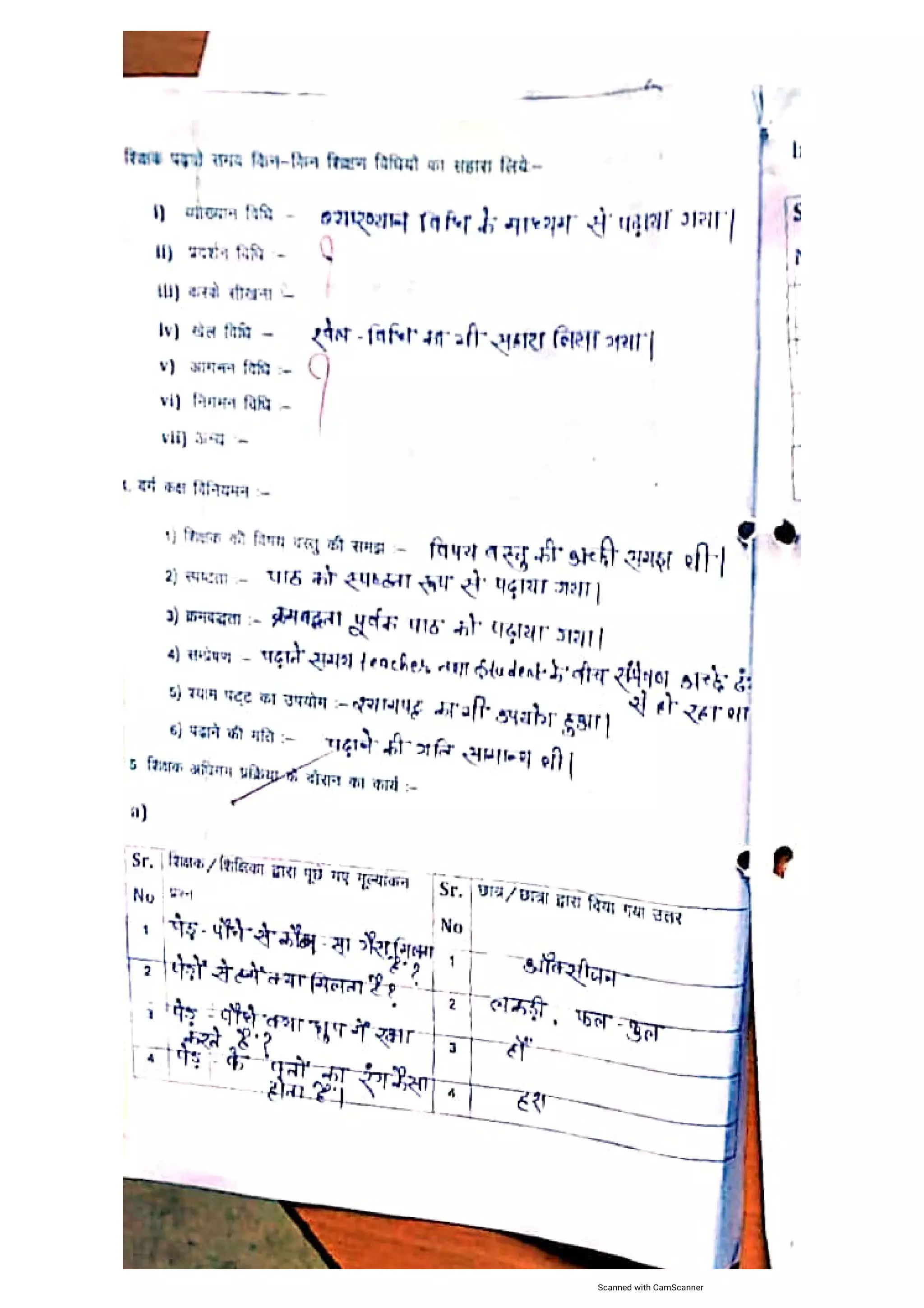 Lesson plan 1st year | PDF