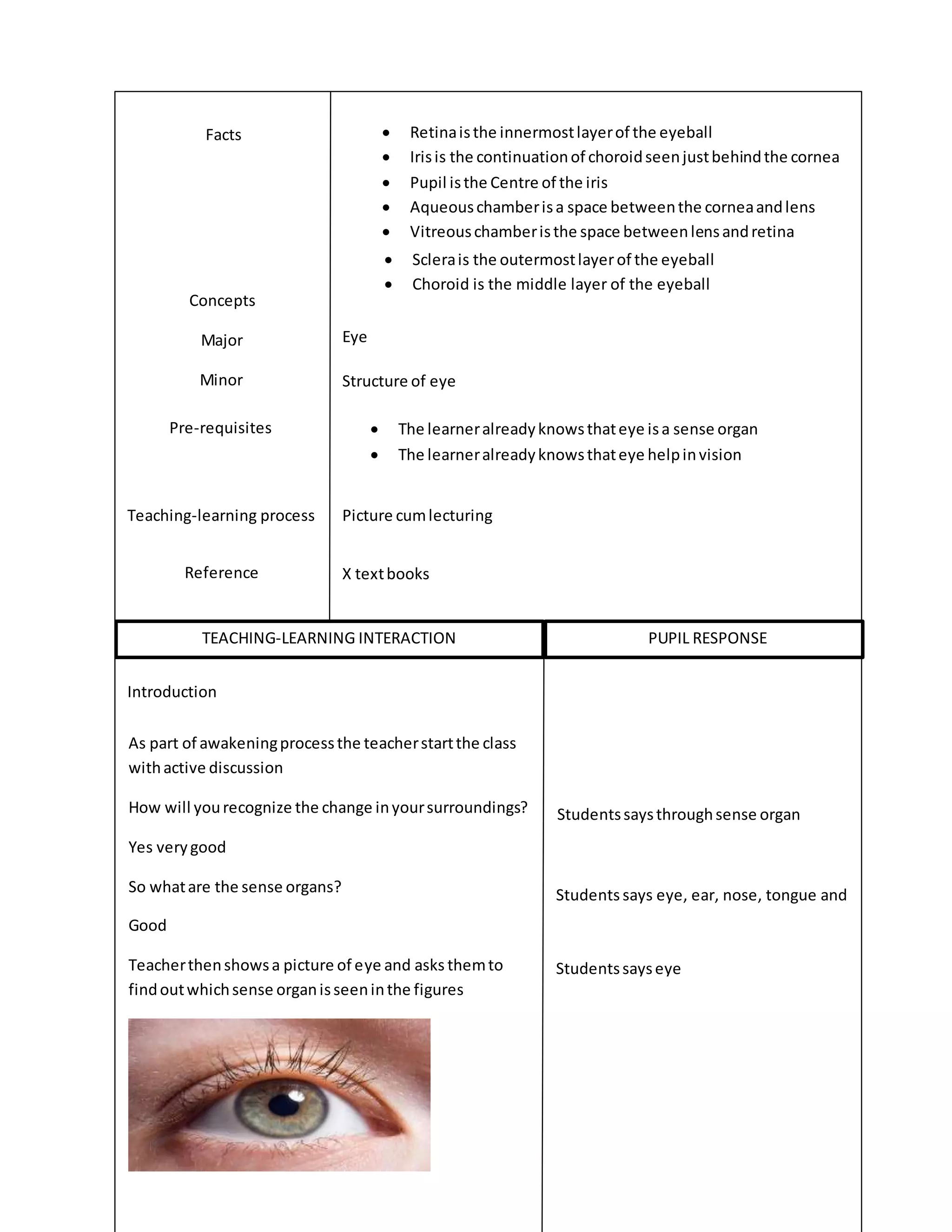 Lesson plan 2 | DOCX | Eye and Vision Conditions | Diseases and Conditions