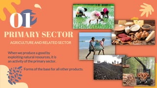 sector of indian economy.pptx