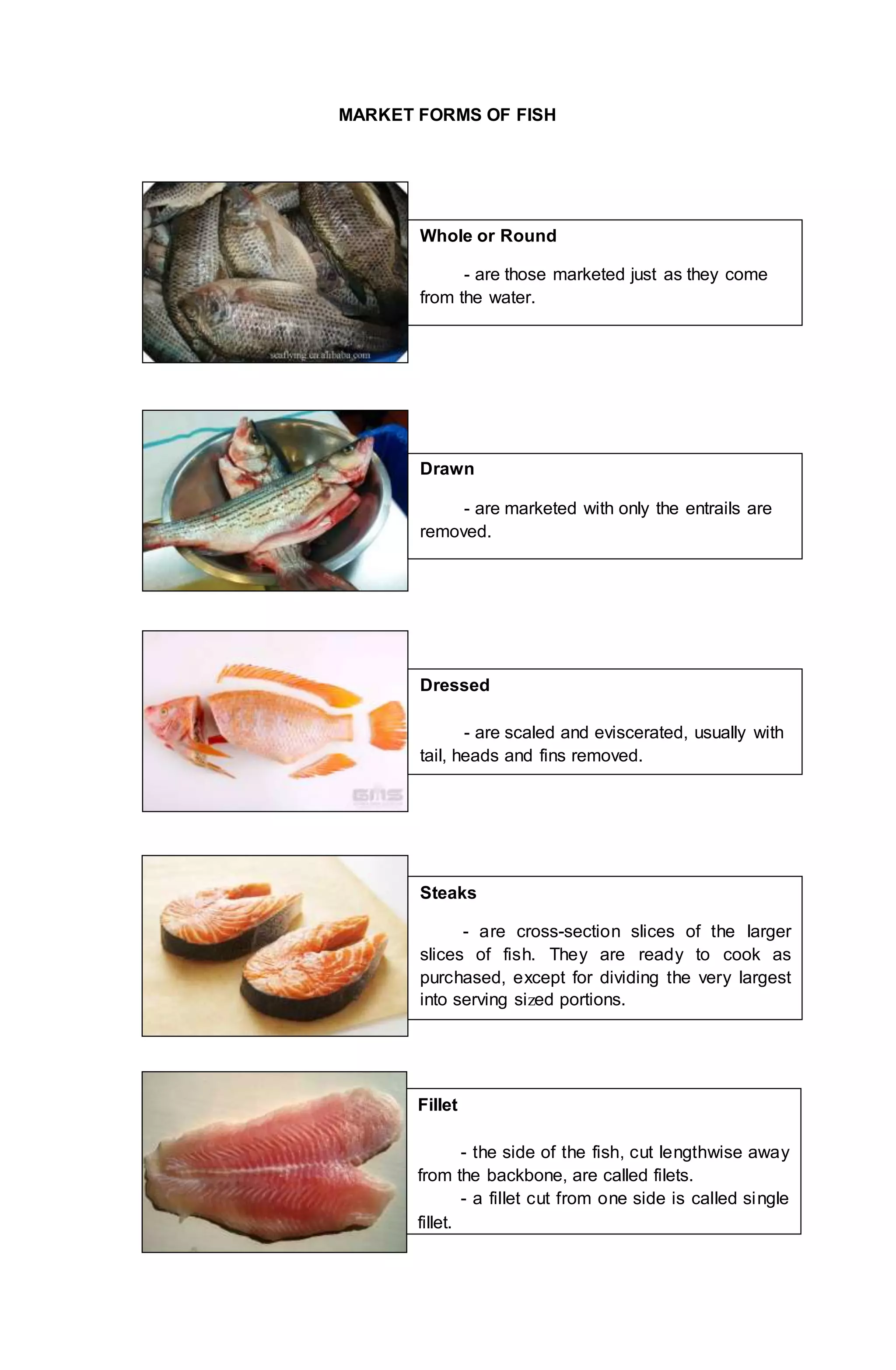 Lesson plan 2018 (market forms of fish) | DOCX