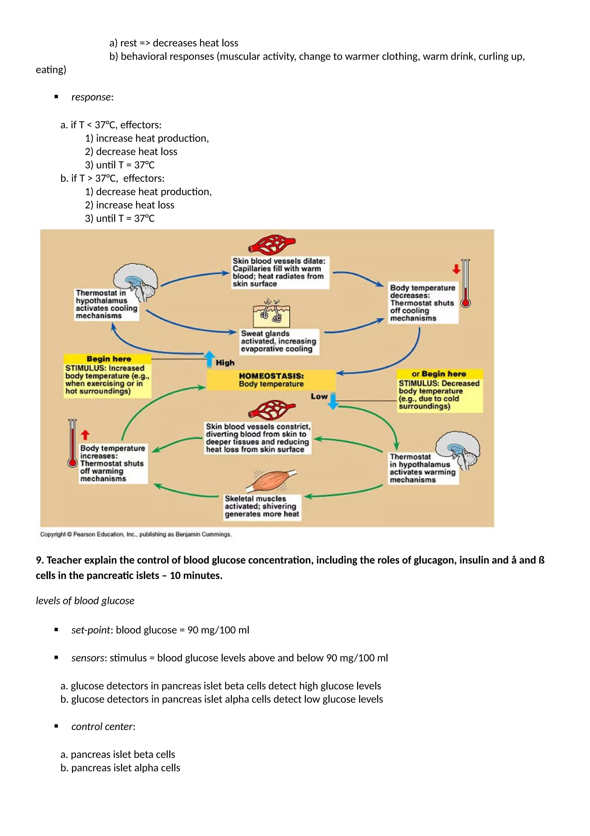 Lesson plan "Neurones and synapsis" | PDF