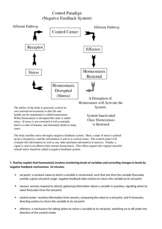 Lesson plan "Neurones and synapsis" | PDF