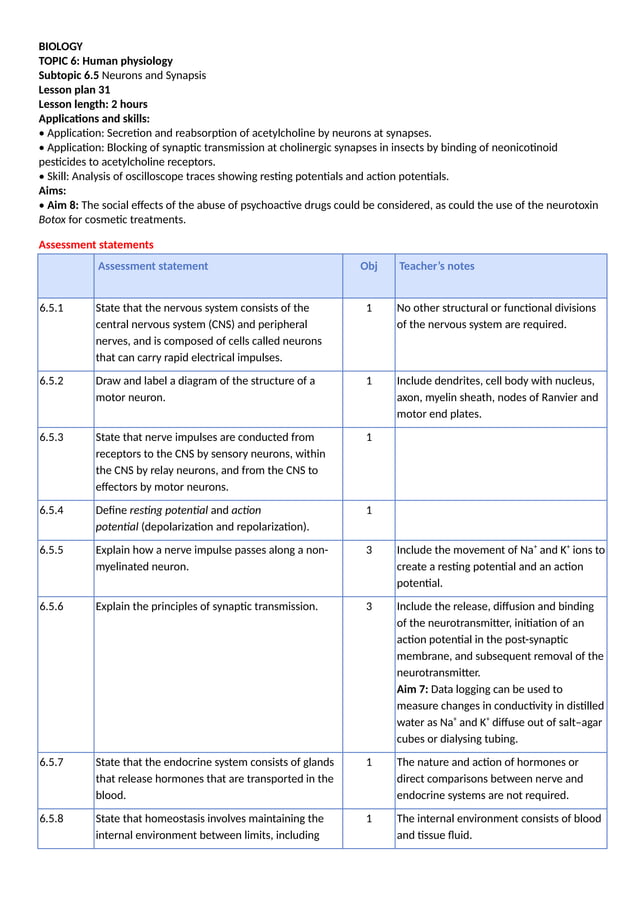 Lesson plan "Neurones and synapsis" | PDF
