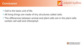 Lesson Plan (4) - Animal Cell and Plant Cell.pptx