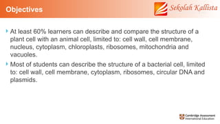 Lesson Plan (4) - Animal Cell and Plant Cell.pptx