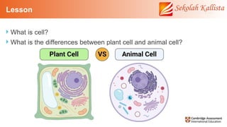 Lesson Plan (4) - Animal Cell and Plant Cell.pptx