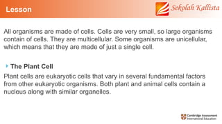 Lesson Plan (4) - Animal Cell and Plant Cell.pptx