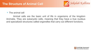 Lesson Plan (4) - Animal Cell and Plant Cell.pptx
