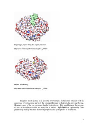 LessonPlan4Pepsinprotocoloactividadpepsina.pdf