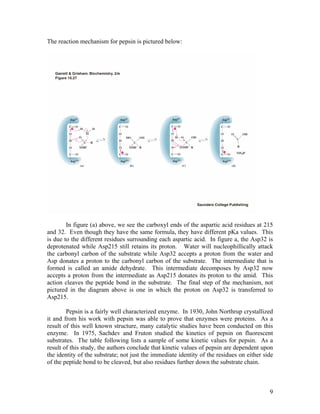 LessonPlan4Pepsinprotocoloactividadpepsina.pdf