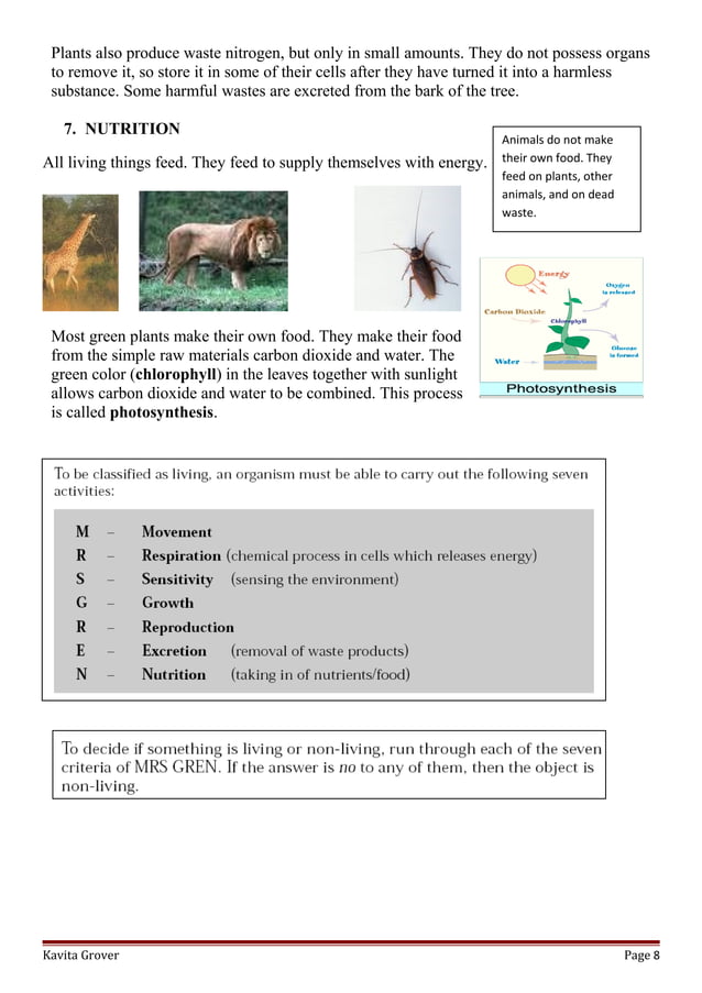 Lesson Plan and Worksheets on Characteristics of Living Lhings | DOC