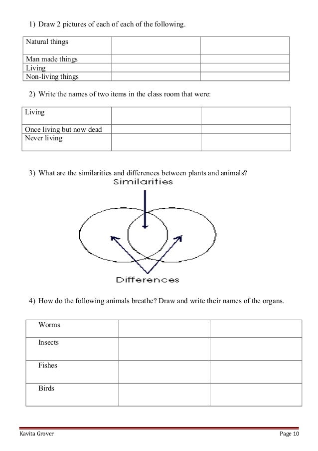 Lesson Plan Of Classification Characteristics Of