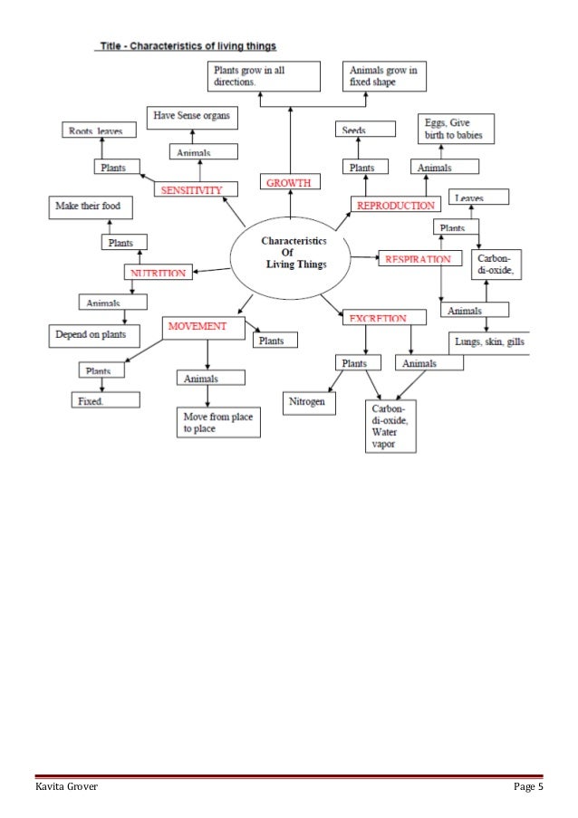 Lesson Plan Of Classification Characteristics Of