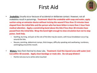 Lesson plan backpacking | PPTX