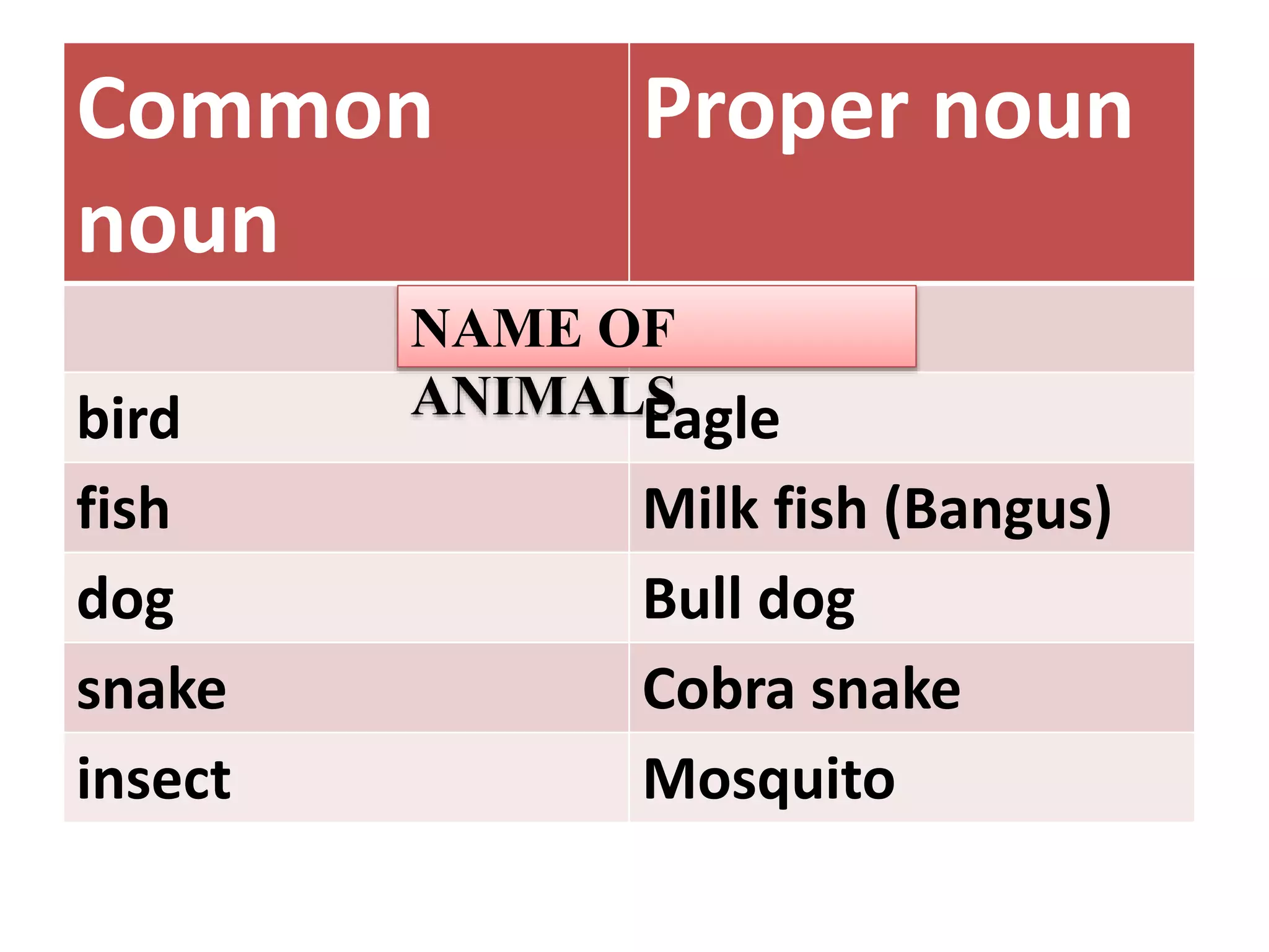 presentation English demo nouns | PPTX