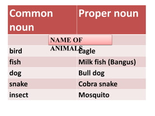 presentation English demo nouns | PPTX