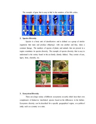 Lesson Plan English Language Teaching Accross Curriculum | DOCX