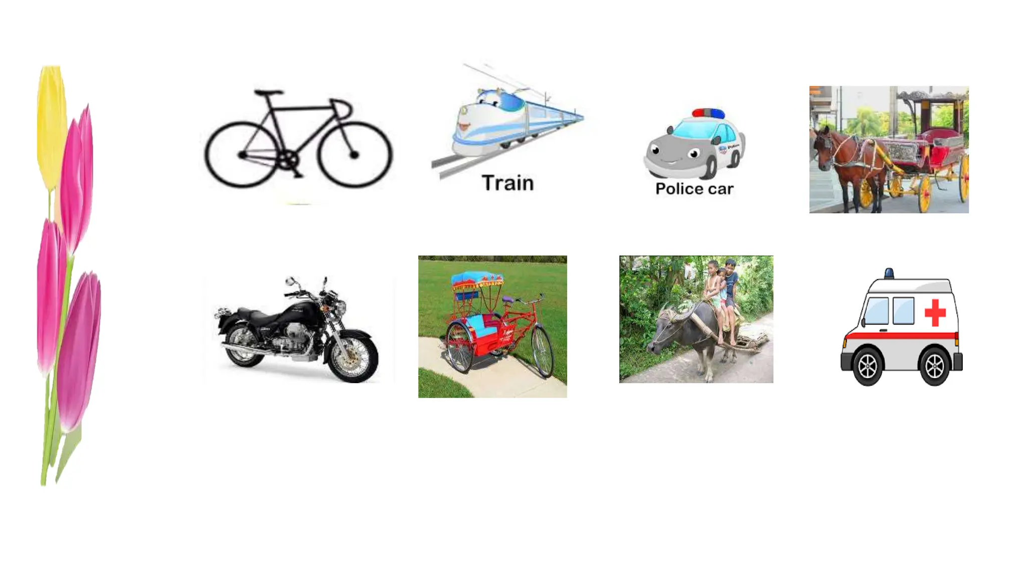 Lesson Plan for Kindergarten COT.pptx