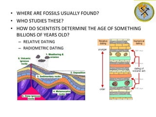 Lesson plan geology | PPT