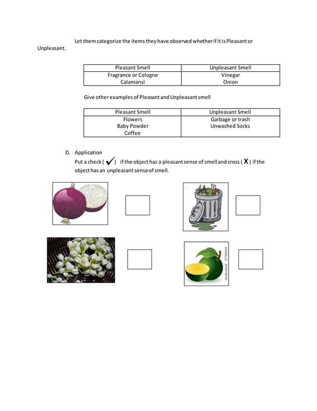 Lesson plan in preschool sense of smell | DOCX | Perfume and Fragrance ...