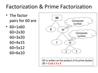 Lesson plan multiple and factors.ppt v 3 | PPT