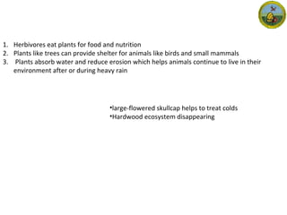 Lesson plan nature | PPT