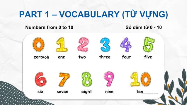 Lesson Plan No.1 (1).pptx