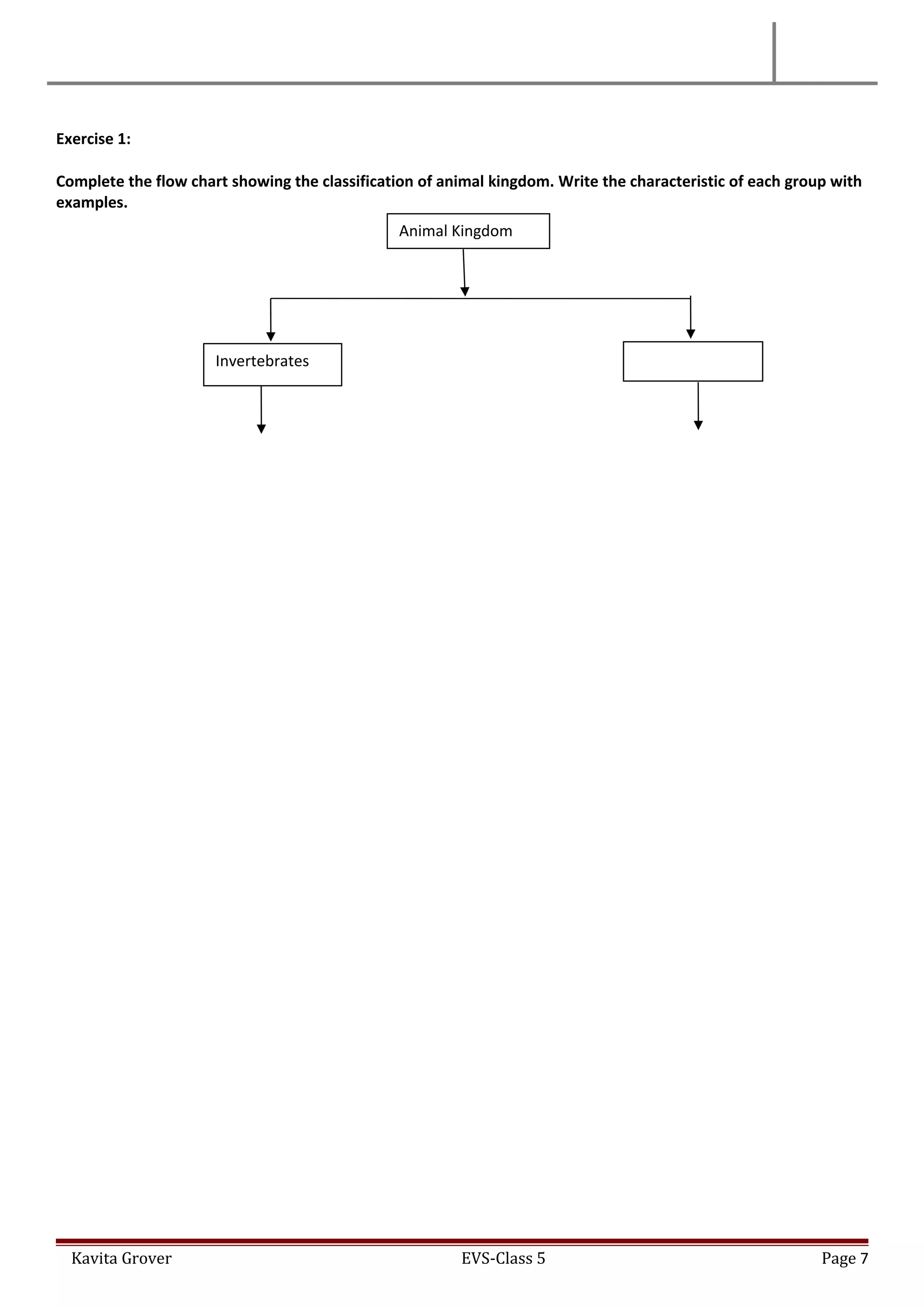 Lesson plan on classification of animals | DOC