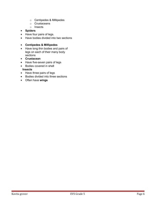 Lesson plan on classification of animals | DOC