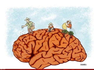 DEMONSTRATION A TEACHING METHOD | PPTX